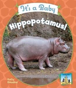 Hippo storytime – LIBRIONYIAN